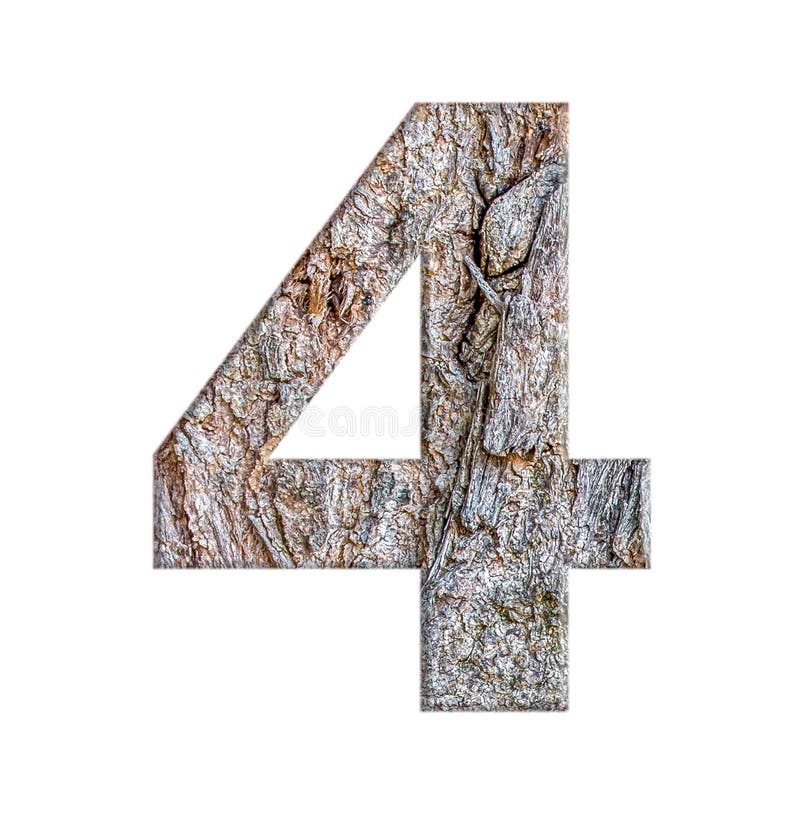 Number Letter from Bark Tree Isolated on White Background Stock Image ...
