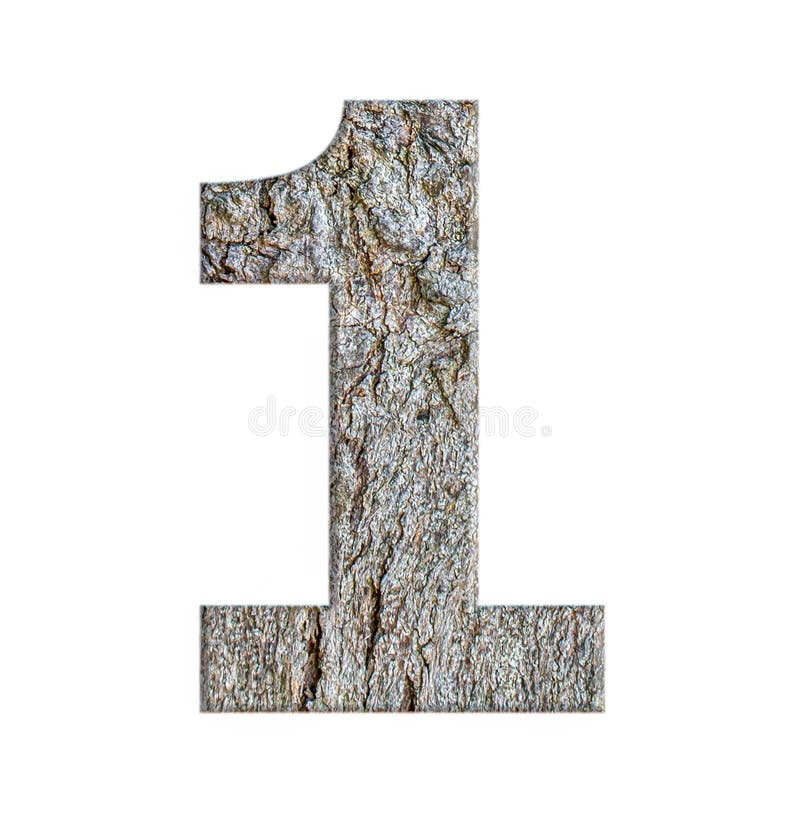 Number Letter from Bark Tree Isolated on White Background Stock Image ...