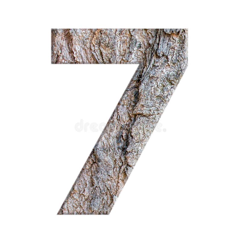Number Letter from Bark Tree Isolated on White Background Stock Image ...