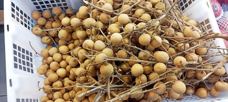 A Number of Longan in Fruit Market Stock Image - Image of field, crop ...