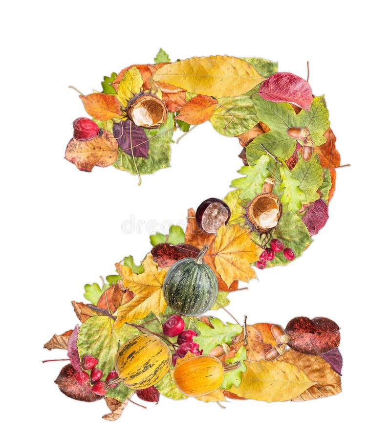 Number Two Of Autumn Leaves. Stock Vector - Illustration of sale ...