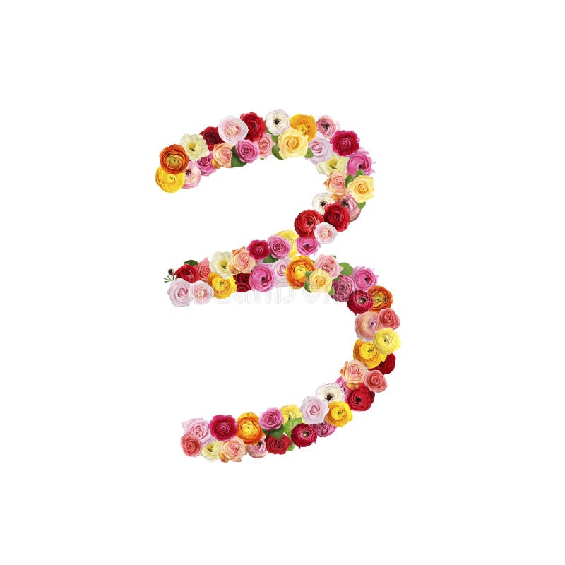 Number 3 Made of Beautiful Flowers on White Background Stock ...