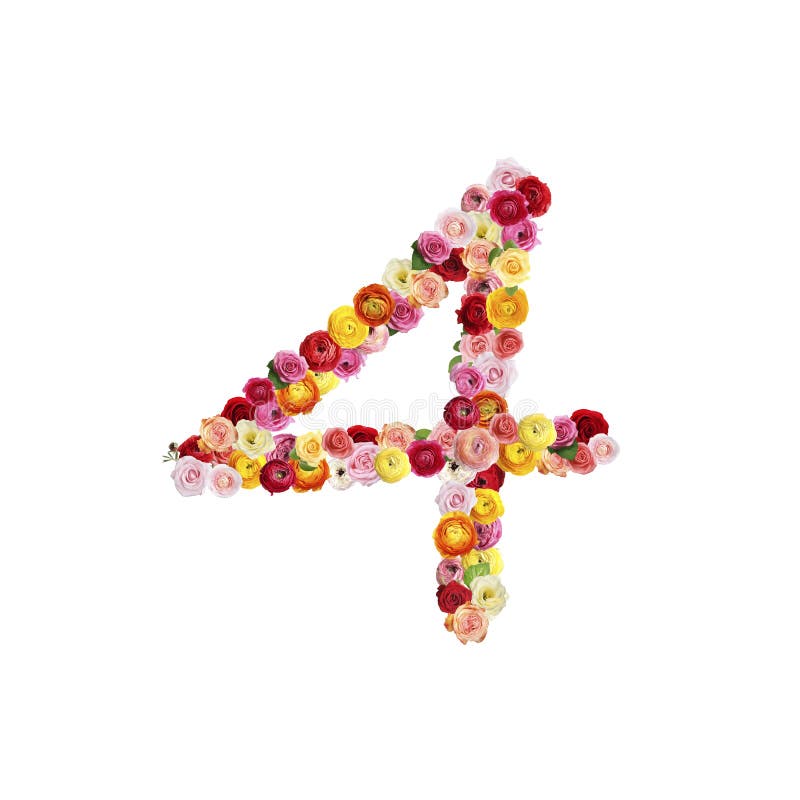 Number 4 Made of Beautiful Flowers on White Background Stock ...