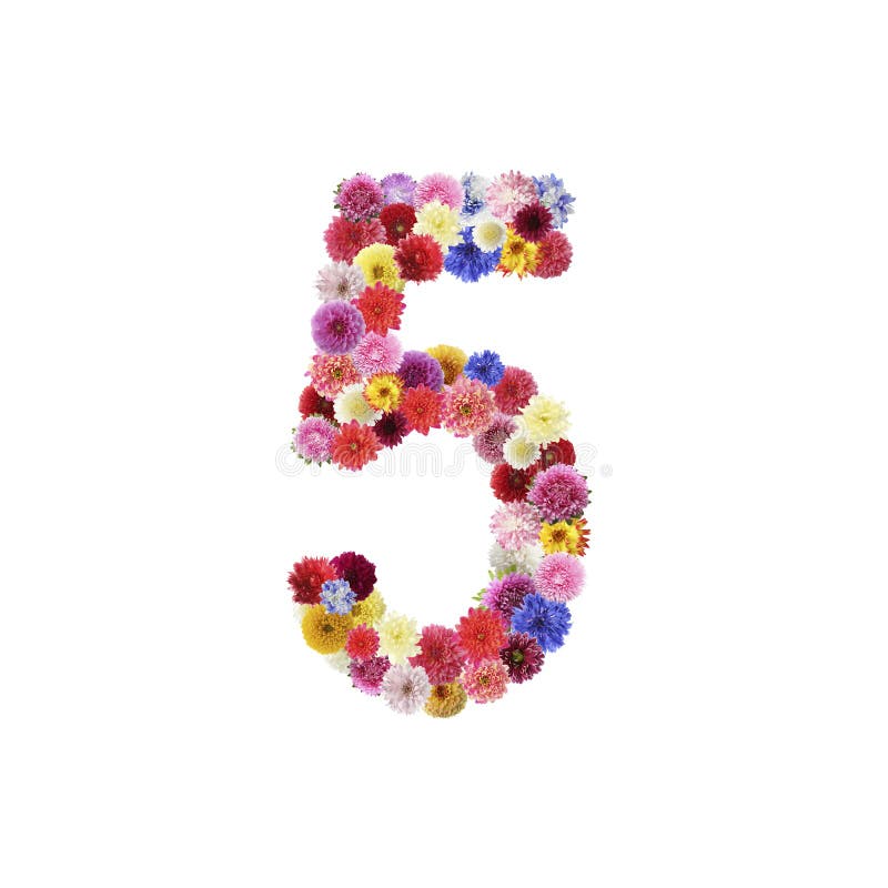 Number 5 Made of Beautiful Flowers on White Background Stock ...