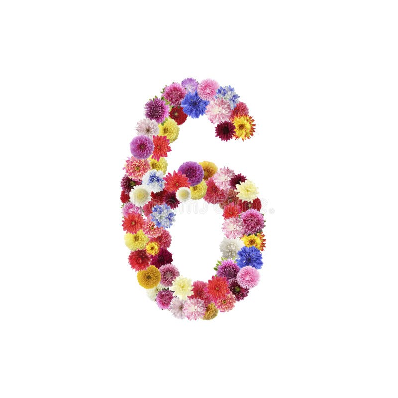 Number 6 Made of Beautiful Flowers on White Background Stock ...