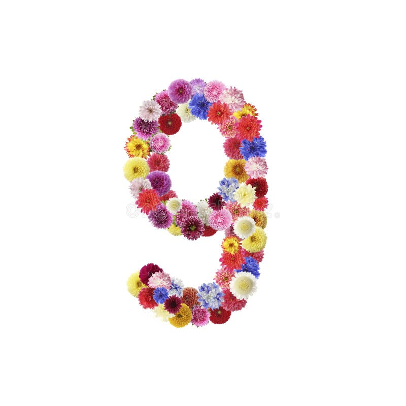 Number 9 Made of Beautiful Flowers on White Background Stock ...