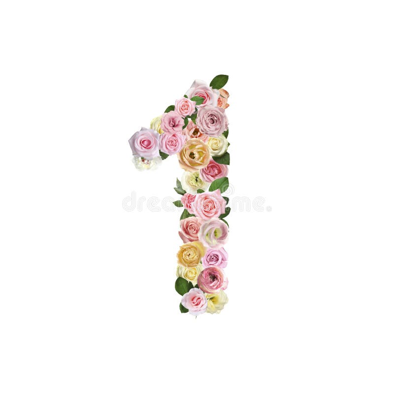 Number 1 Made of Beautiful Rose Flowers on White Background Stock ...