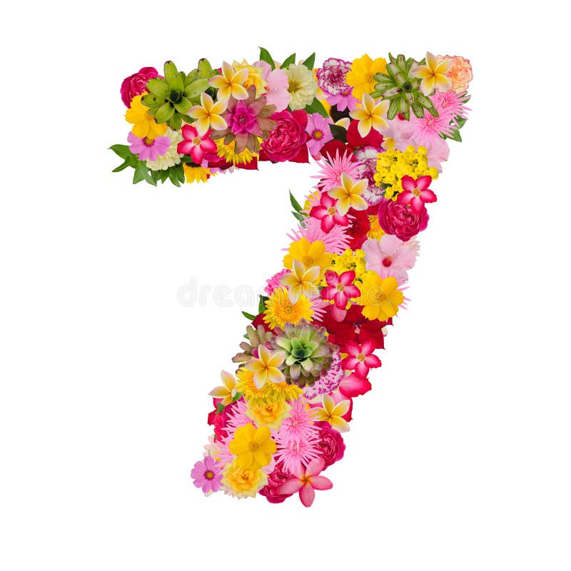 Number 7 Made from Flower Isolated on White Background. Whit Clipping ...