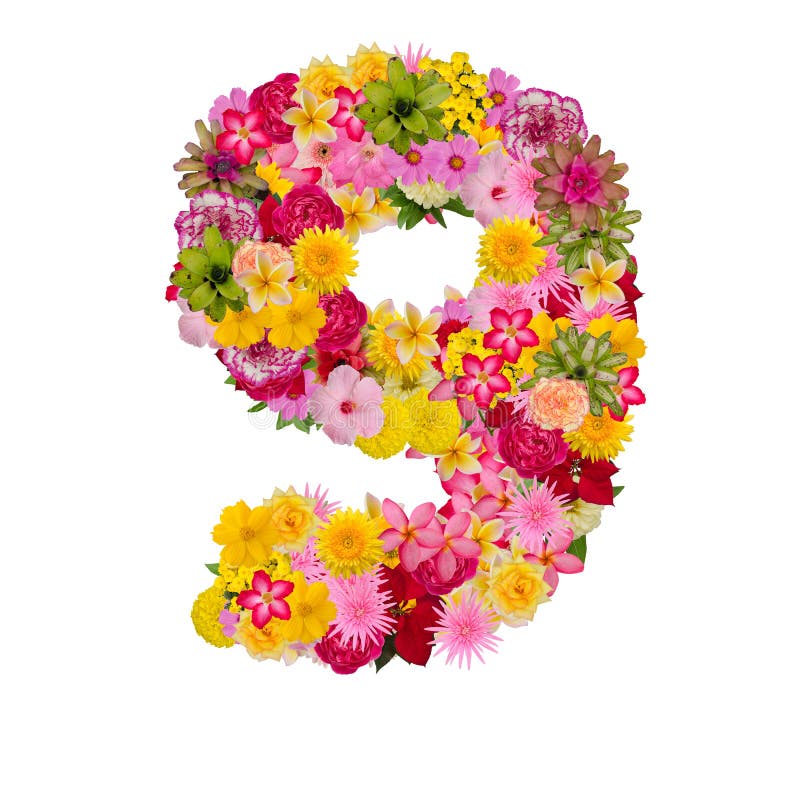 Number 9 Made from Flower Isolated on White Background. Whit Clipping ...