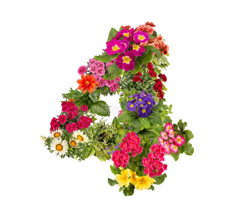 Number 4 made of flowers stock photo. Image of nature - 351557626