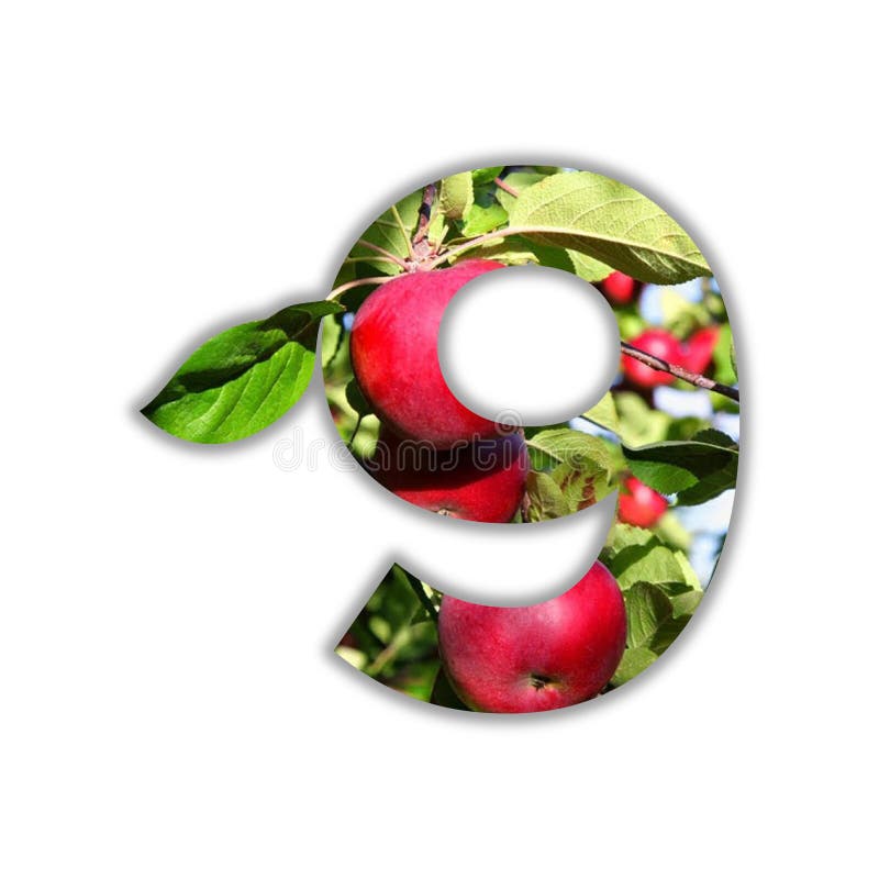 Number 1 Made of Real Grapes Stock Photo - Image of education, number ...