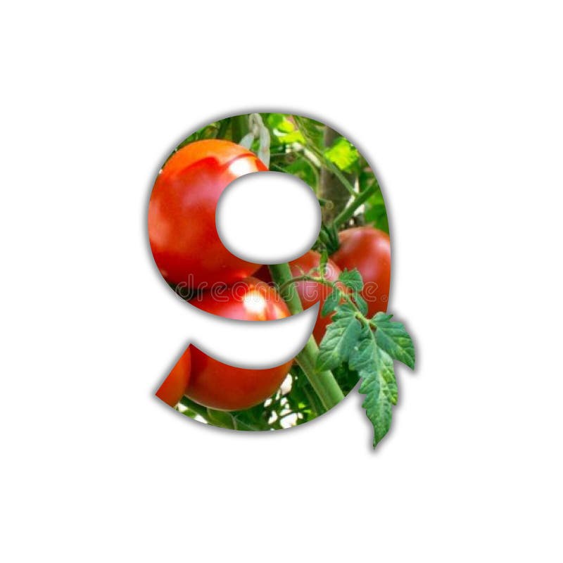 Number 9 Made of Fresh Fruit. 9 Lettering Stock Image - Image of color ...