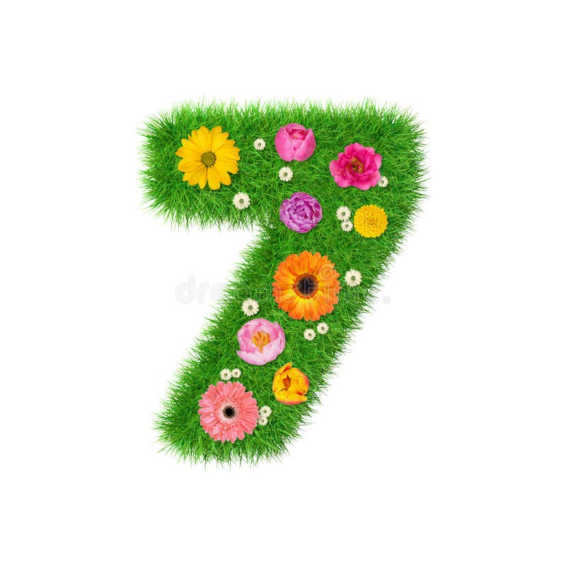 Number 7 Green Grass Flowers Stock Illustrations – 21 Number 7 Green ...