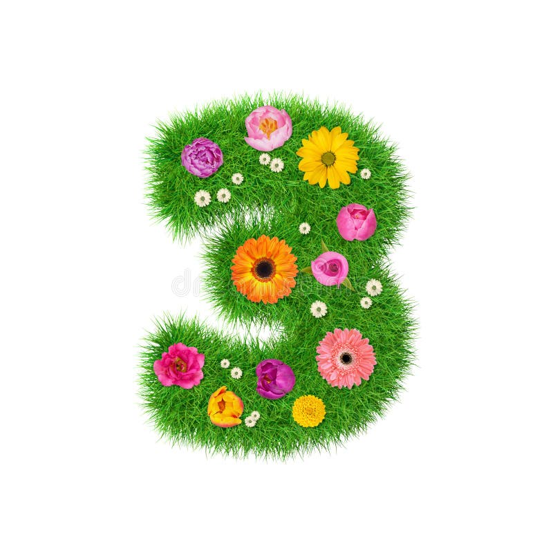 Number 3 Made of Grass and Colorful Flowers, Spring Concept for Graphic ...