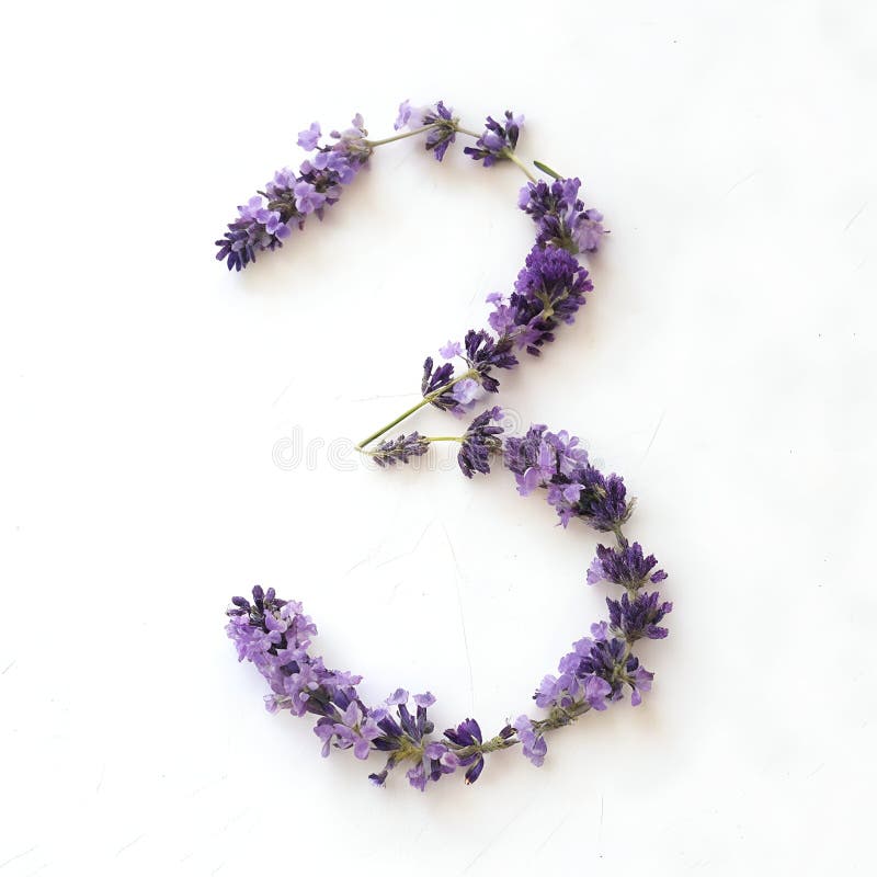 Number 3 Made with Lavender Flowers Isolated on White Background Stock ...