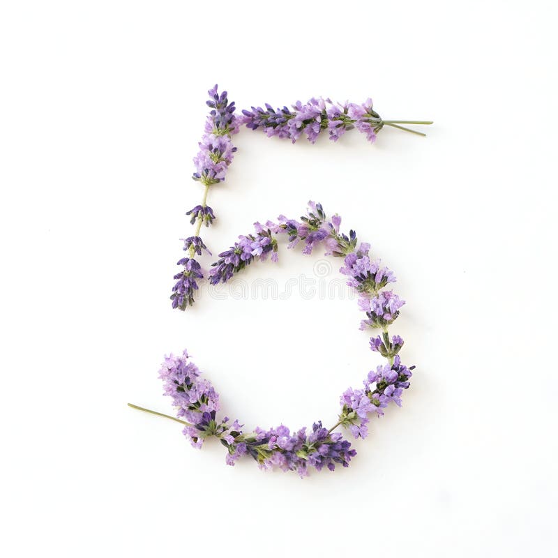 Number 5 Made with Lavender Flowers Isolated on White Background Stock ...