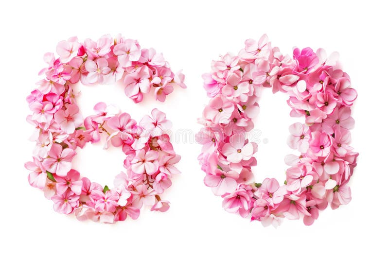 Number 60 Made of Pink Flowers Isolated Stock Illustration ...