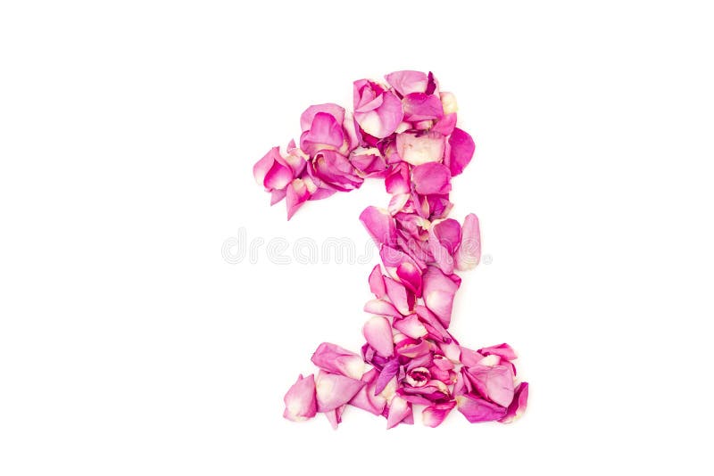 Number 1 Made from Pink Petals Rose. Pink Roses. Element for Decoration ...