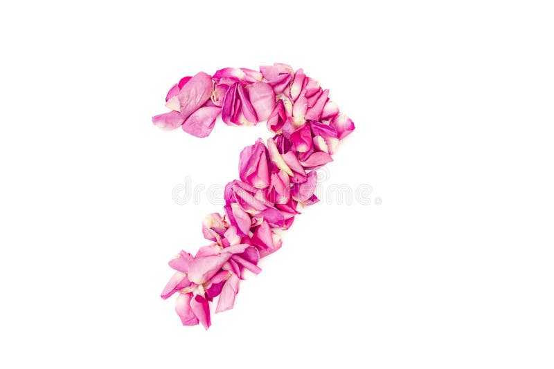 Number 7 Made from Pink Petals Rose. Pink Roses. Element for Decoration ...