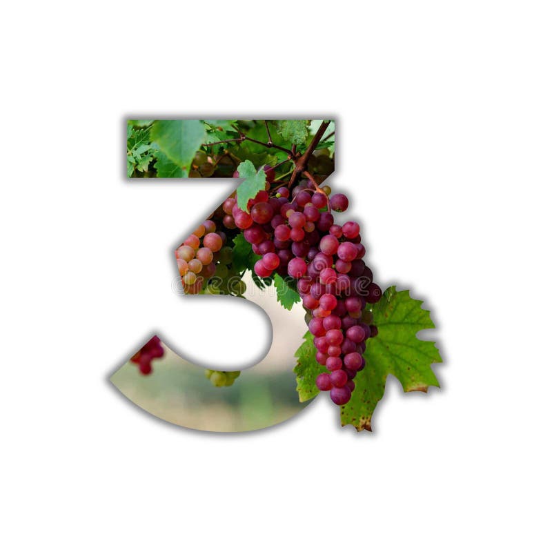 Number 3 Made of Real Grapes Stock Image - Image of colorful ...