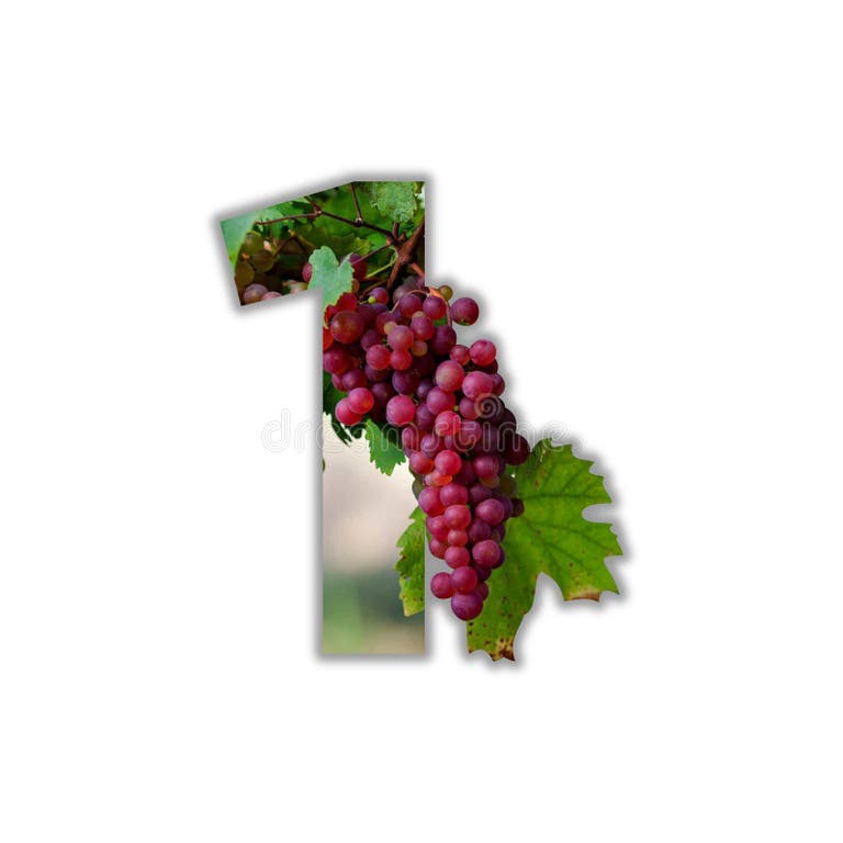 Number 1 Made of Real Grapes Stock Photo - Image of education, number ...