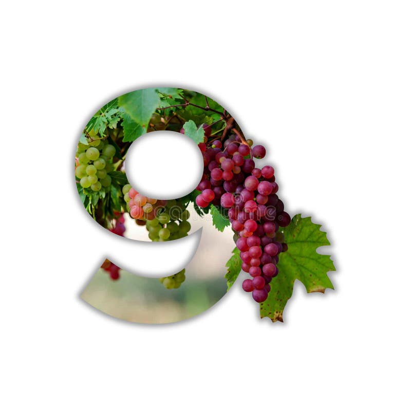 Number 9 Made of Real Grapes Stock Photo - Image of medicine, healthy ...