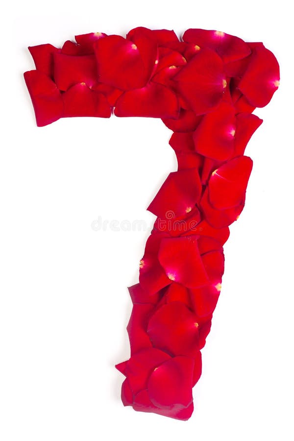 Number 7 Made from Red Petals Rose on White Stock Photo - Image of font ...