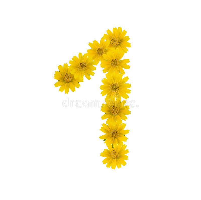 Number 1 Made from Yellow Flowers Stock Photo - Image of sign, bright ...