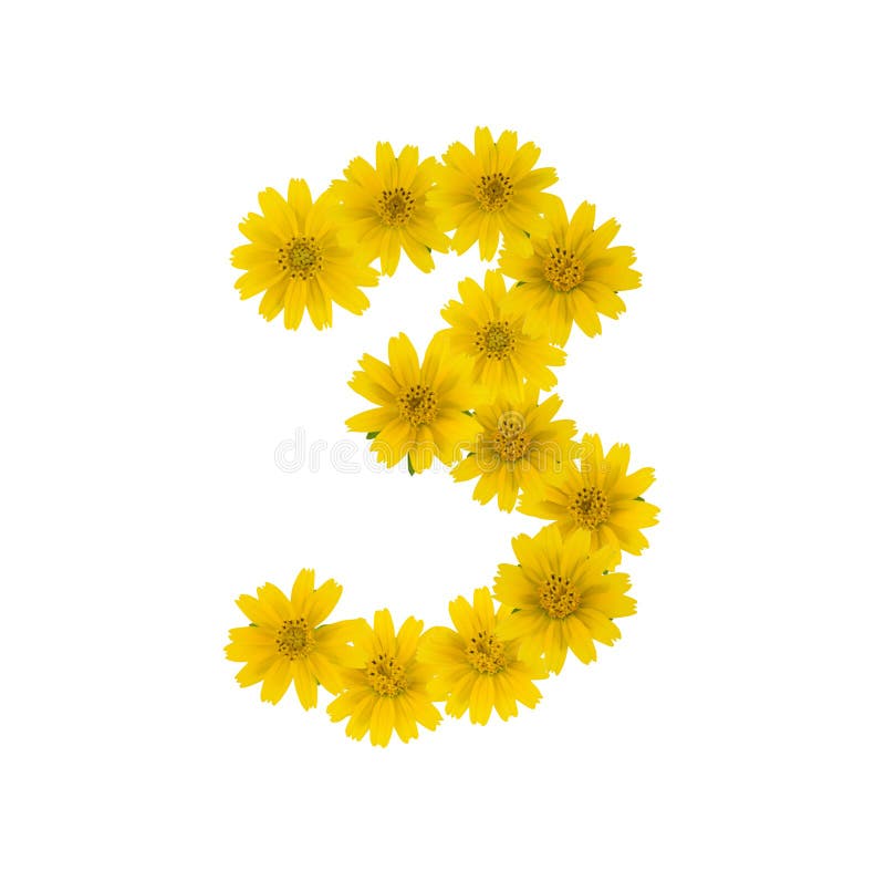 Number 3 Yellow