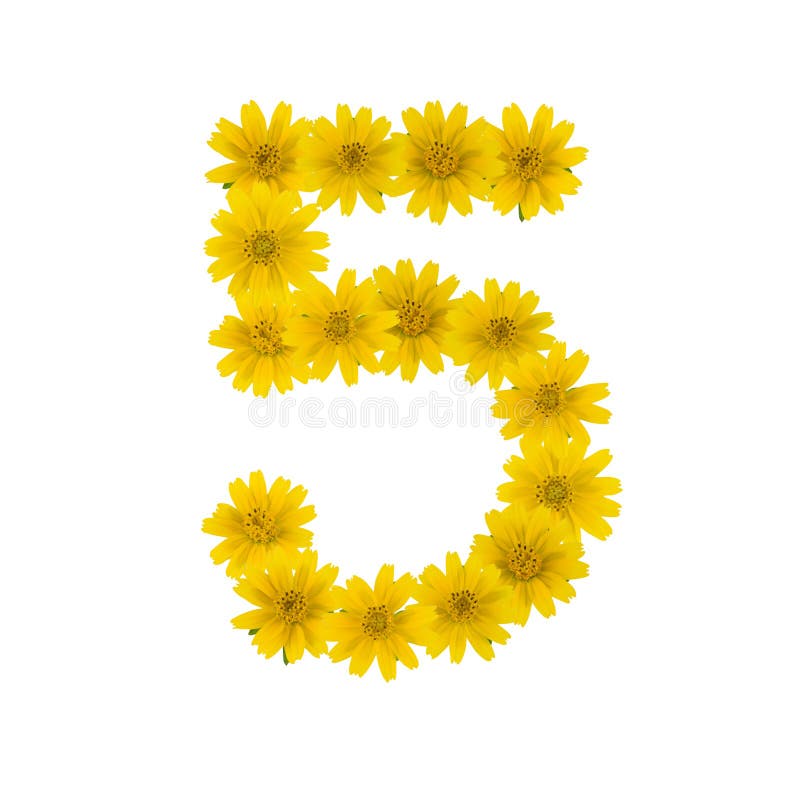 Number 5 Made from Yellow Wedelia Flowers Stock Photo - Image of nature ...