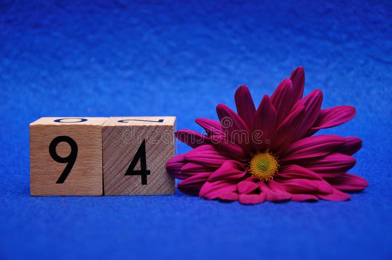 Number Ninety Four with a Purple Daisy Stock Photo - Image of ...