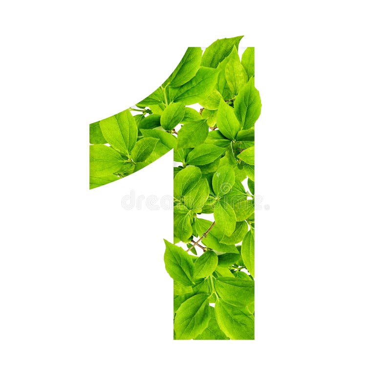 Number One Green Leaves. Creative Spring Concept Stock Photo - Image of ...
