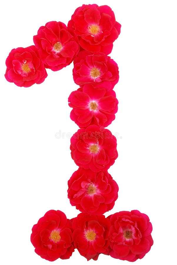Number One Laid Out Roses Stock Photos - Free & Royalty-Free Stock ...