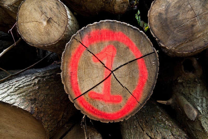 Red cross on tree bark stock photo. Image of lumber, symbol - 10299368