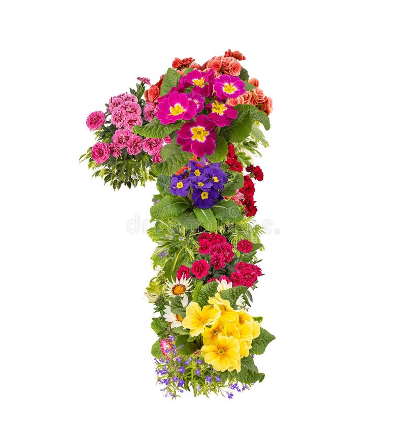 Number one made of flowers stock image. Image of lobelia - 351557613