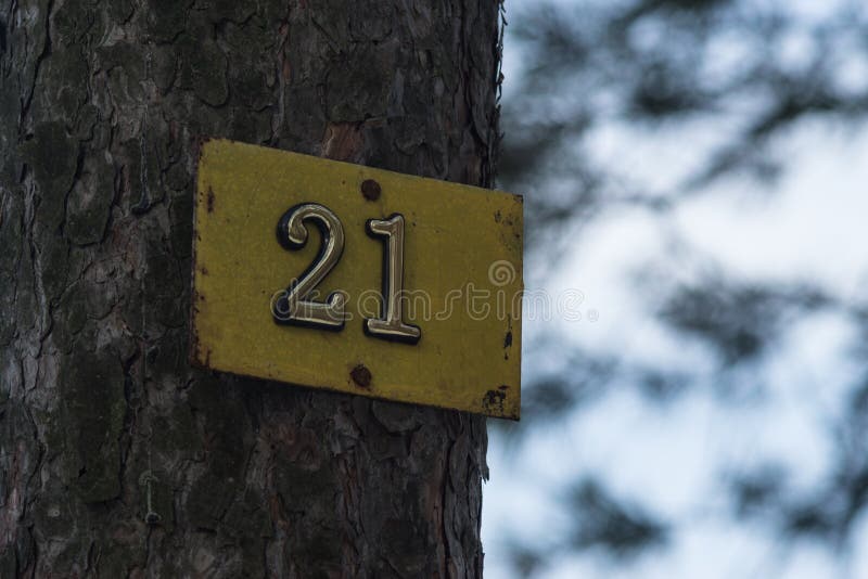 Number 21 stock image. Image of forest, brazier, garden - 88478343