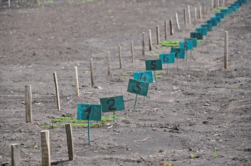 Number plates on the field stock image. Image of outdoor - 84789385