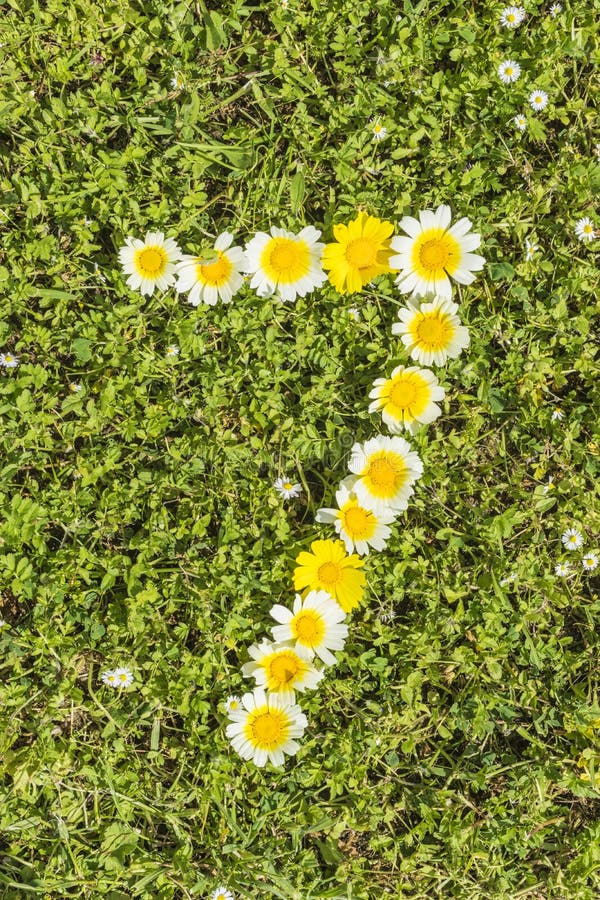 Number Seven from Flower Numbers Stock Photo - Image of sign, flower ...