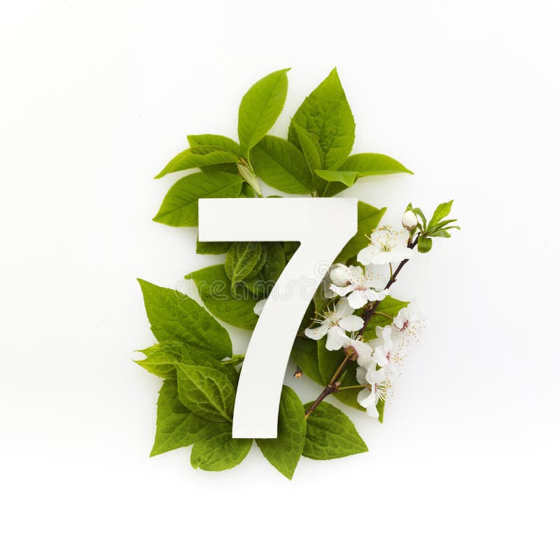 Number Seven with Green Leaves. Minimal Summer Concept. Flat Lay. Stock ...