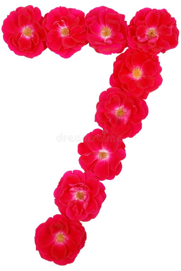 297 Seven Red Roses Stock Photos - Free & Royalty-Free Stock Photos ...