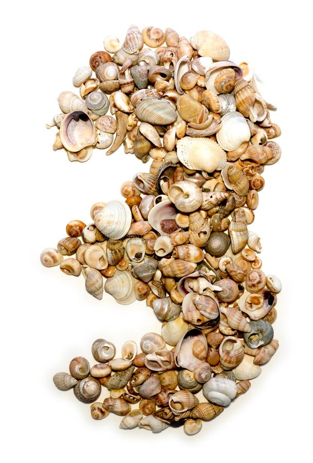 Shell number 5 stock photo. Image of cockles, mark, style - 4235198