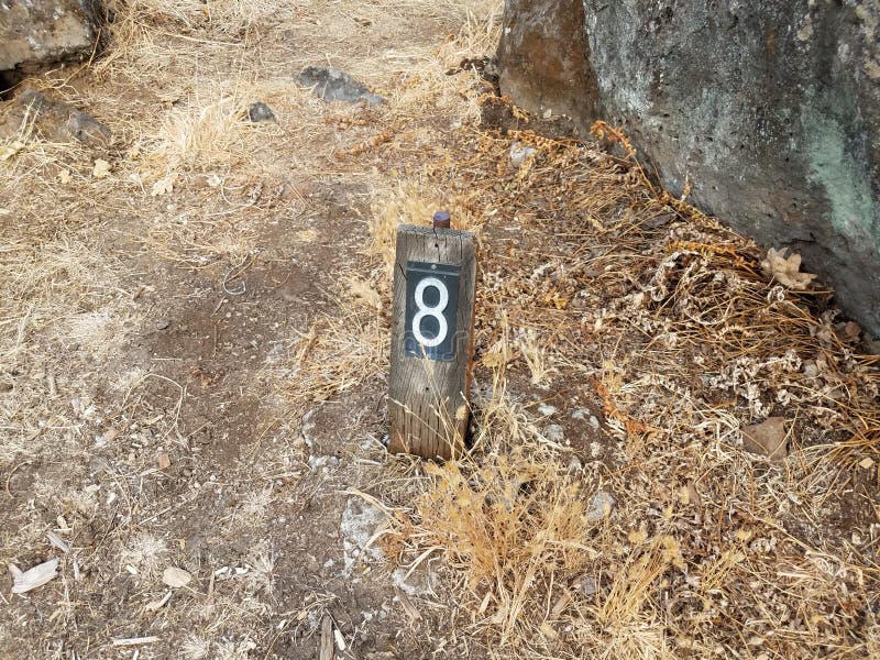 Number 8 on Sign on Ground with Grasses Stock Image - Image of sign ...