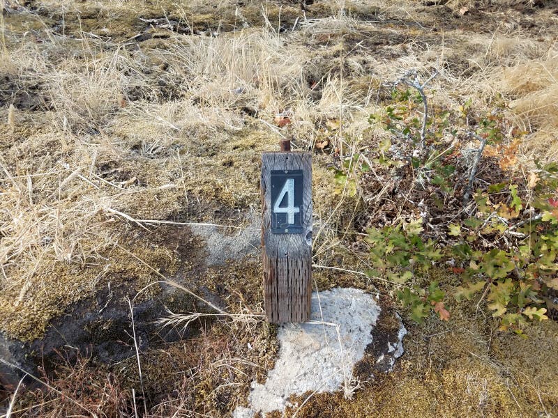 Number 4 on Sign on Ground with Grasses Stock Photo - Image of ...