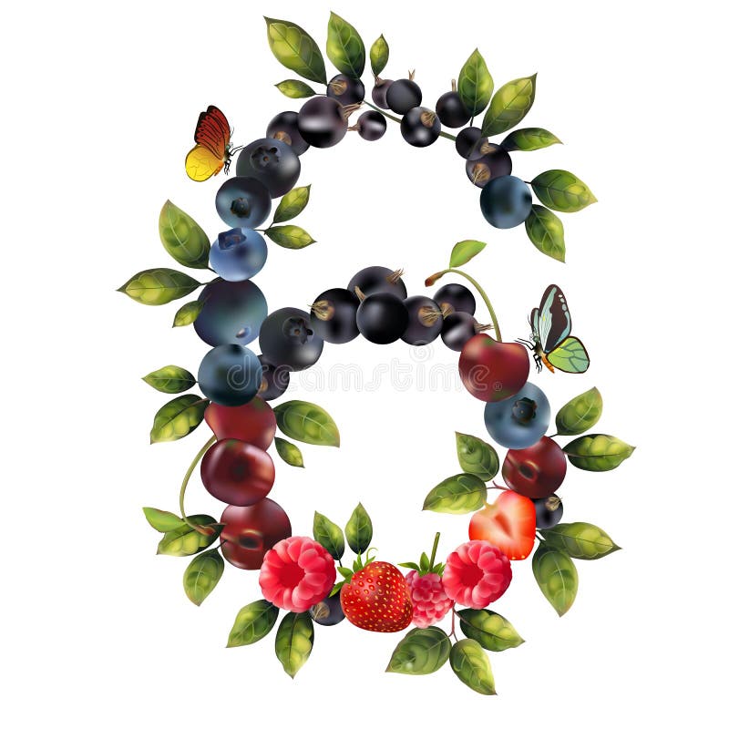 Number Six of Realistic Berries. Stock Vector - Illustration of leaves ...