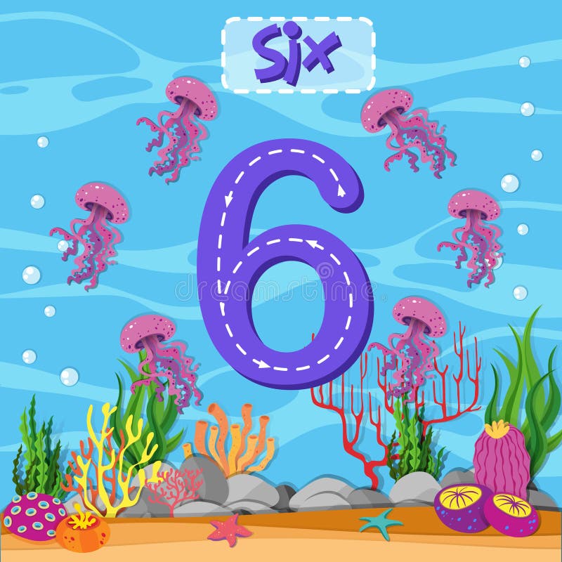 Number Six Six Jellyfish Underwater Stock Illustrations – 3 Number Six ...