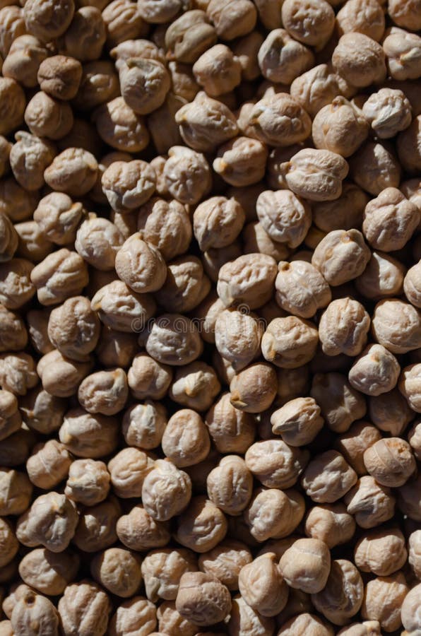 Number of Small Chickpeas Under the Light - Perfect for Background ...