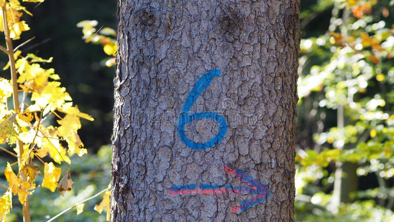 Npresentation Stock Photos - Free & Royalty-Free Stock Photos from ...