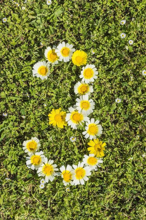 Number Three from Flower Numbers Stock Image - Image of flowers ...