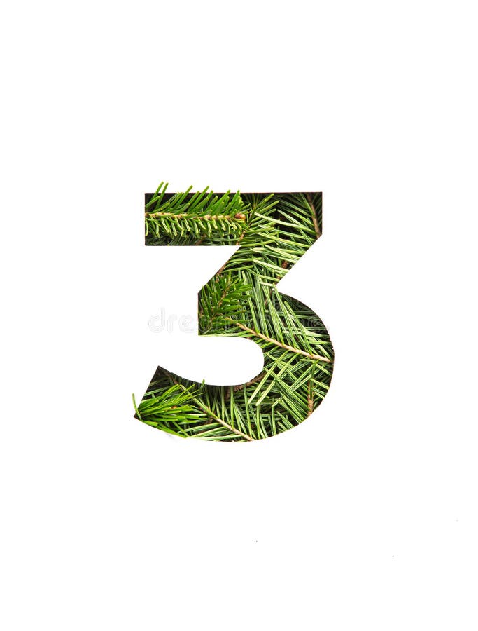 Number Three of Natural Evergreen Spruce Tree and Paper Cut in Shape of ...