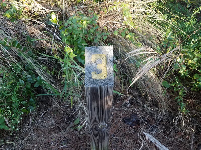 Number Three on Wood Post or Stake with Plants Stock Photo - Image of ...